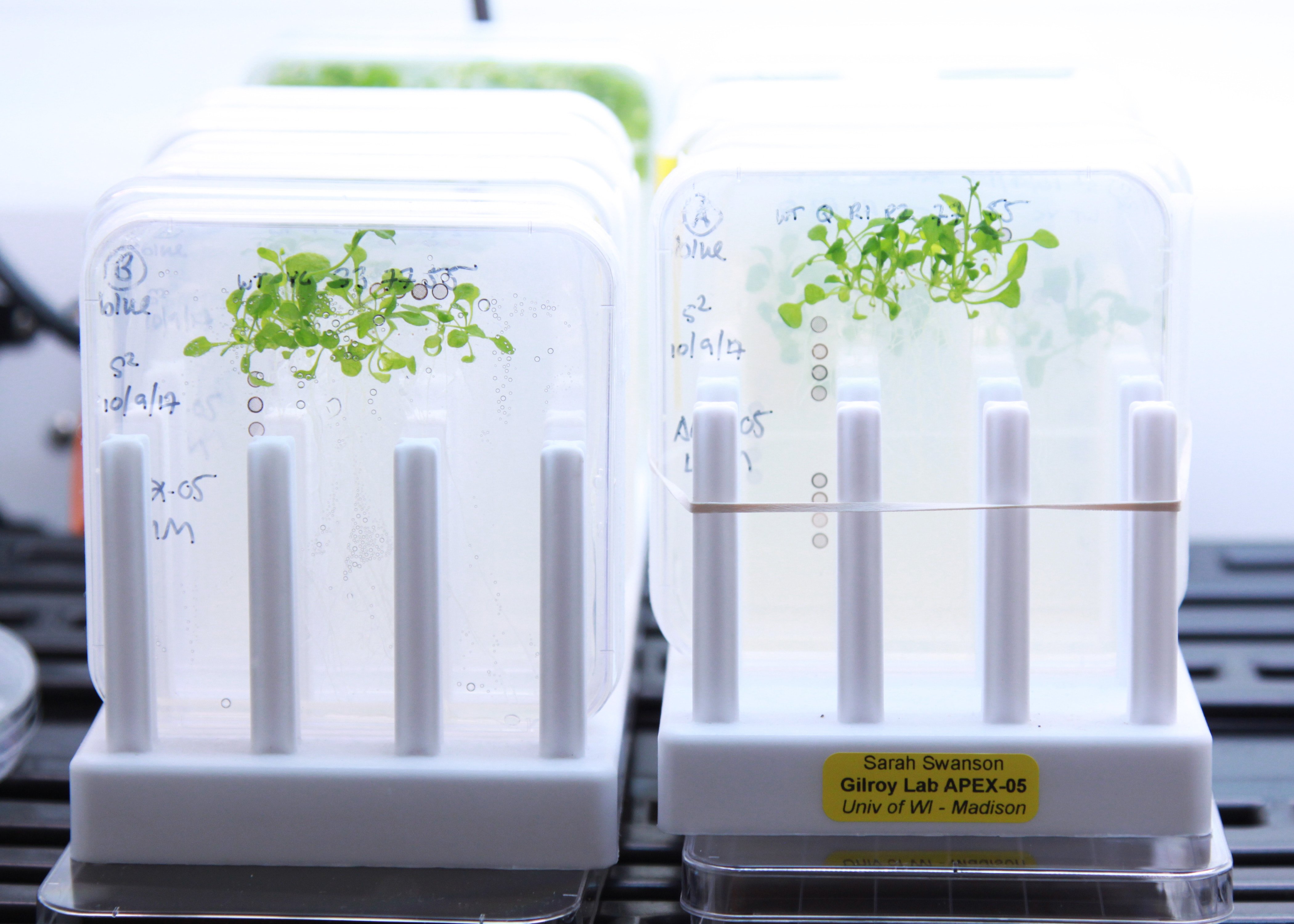 UW spearheads collaborative research project on environmentally ...