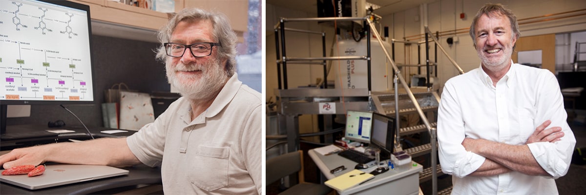 Fox and Ralph awarded DOE grant to characterize gene function in ...