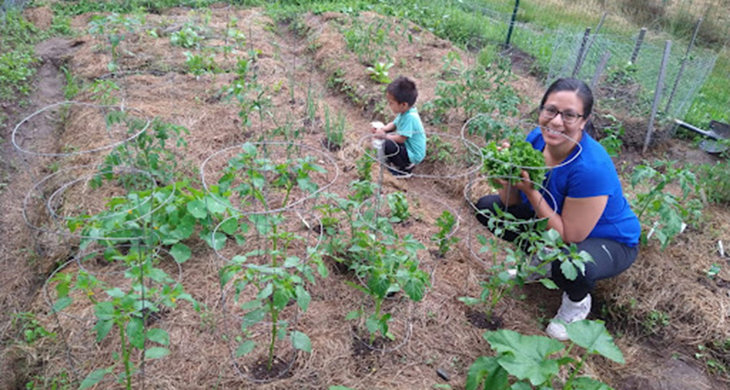 Postdoctoral Researcher Spotlight: Violeta Matus Acuña | Great Lakes ...