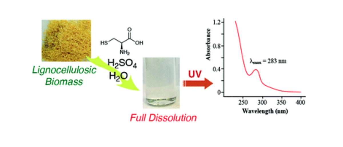 Lignocellulosic Biomass