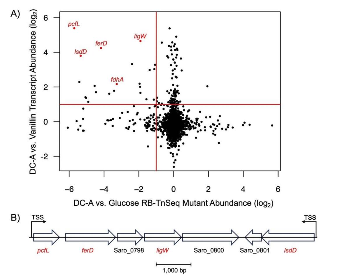 RB-TnSeq barcode abundance data sets for Novosphingobium ...