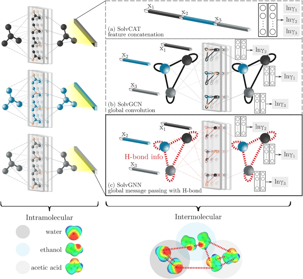 Capturing molecular interactions in graph neural networks: a case study ...