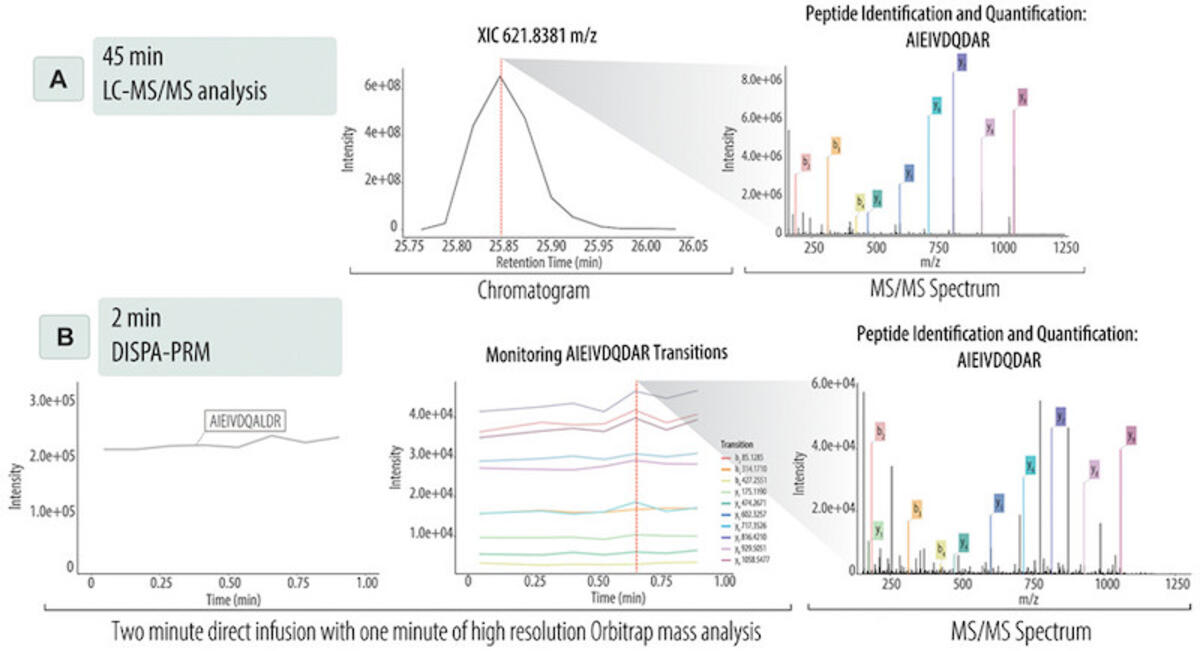 Rapid Targeted Quantitation of Protein Overexpression with Direct ...