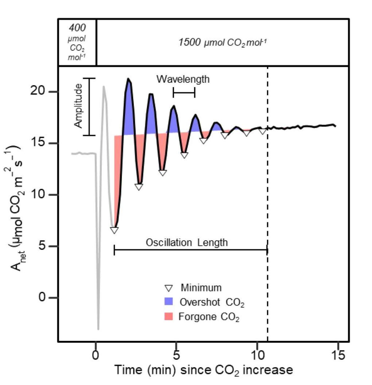 The Dynamic Assimilation Technique measures photosynthetic CO2 response ...