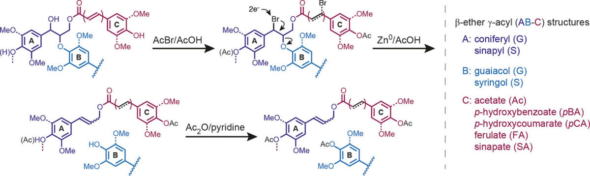 Reductive Cleavage Method for Quantitation of Monolignols and Low ...