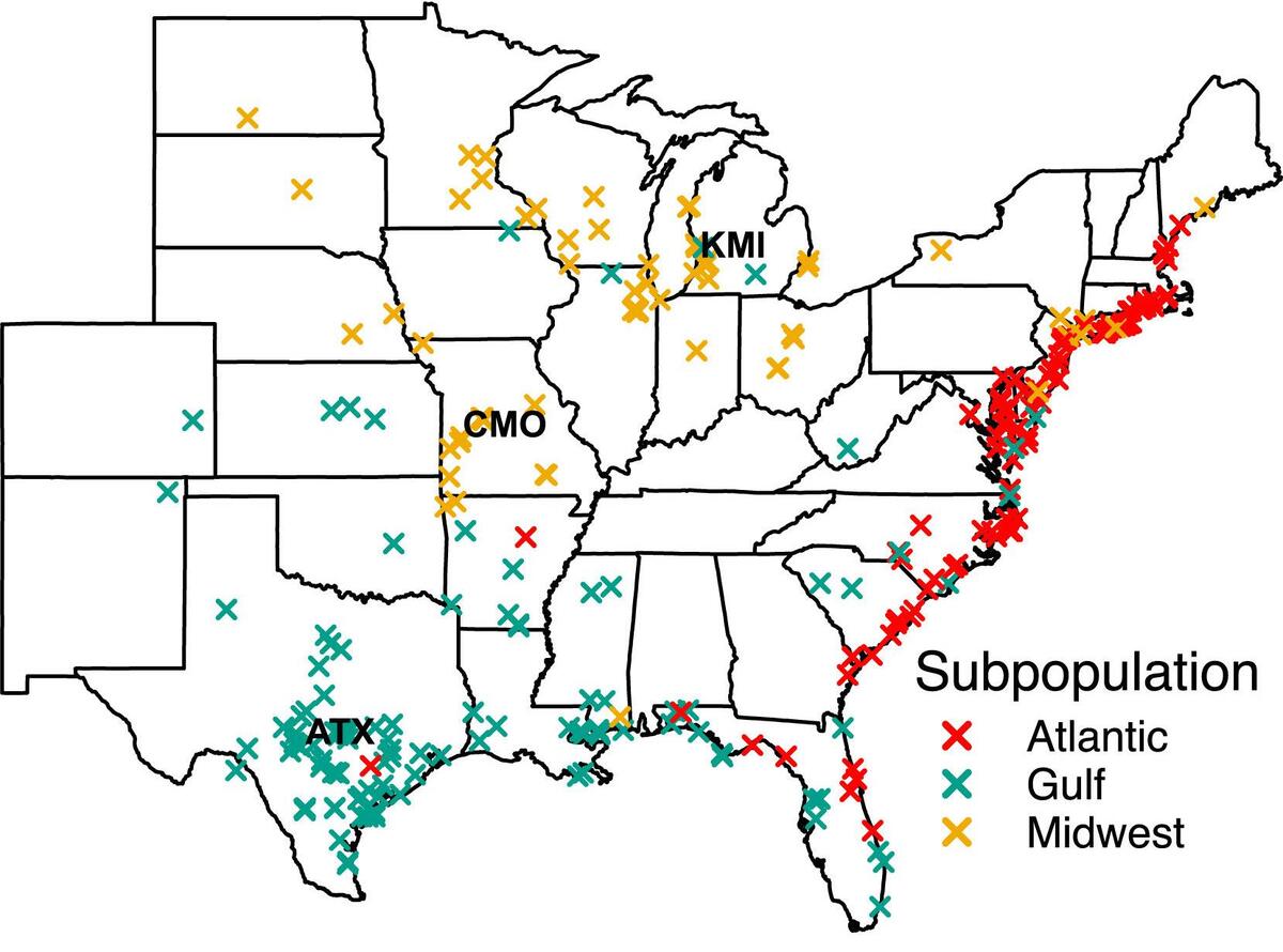 Genetic determinants of switchgrass-root-associated microbiota in field ...