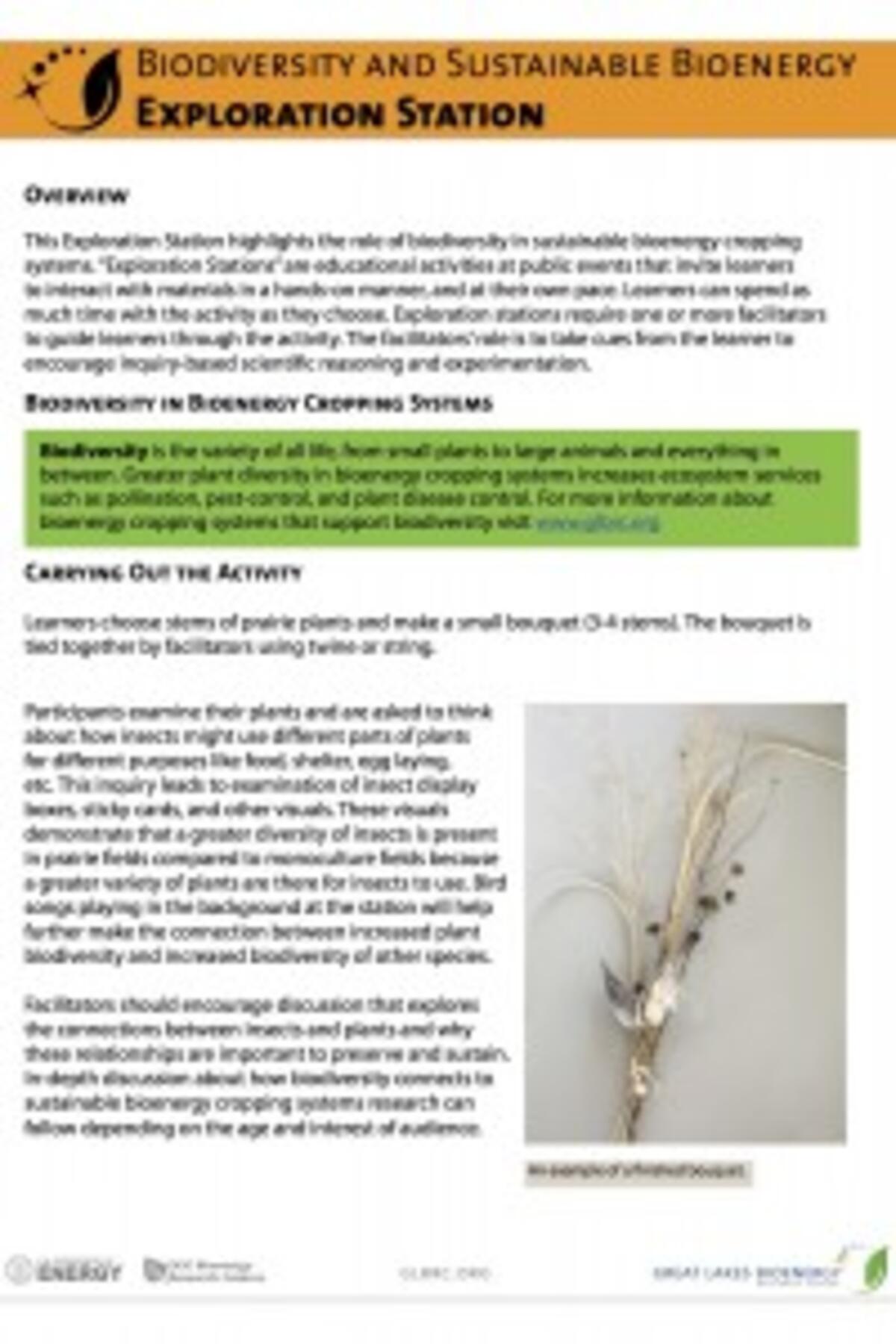 Biodiversity Exploration Station Teacher Guide | Great Lakes Bioenergy ...