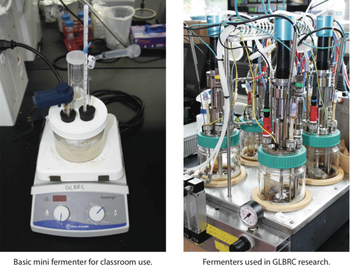 Mini Fermenter | Great Lakes Bioenergy Research Center