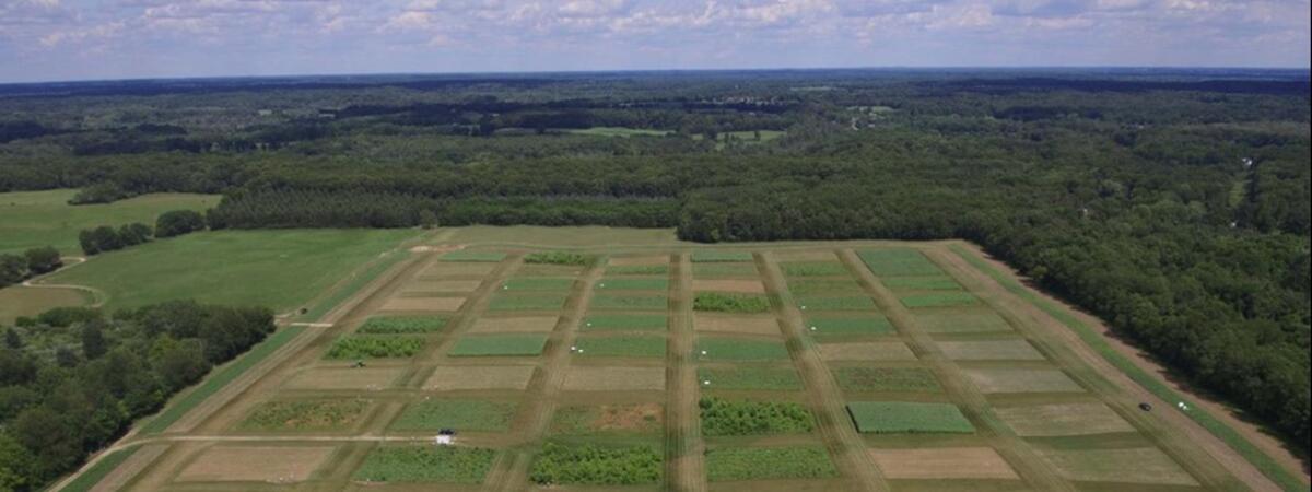 Biomass fuels made from grass could help mitigate global warming ...