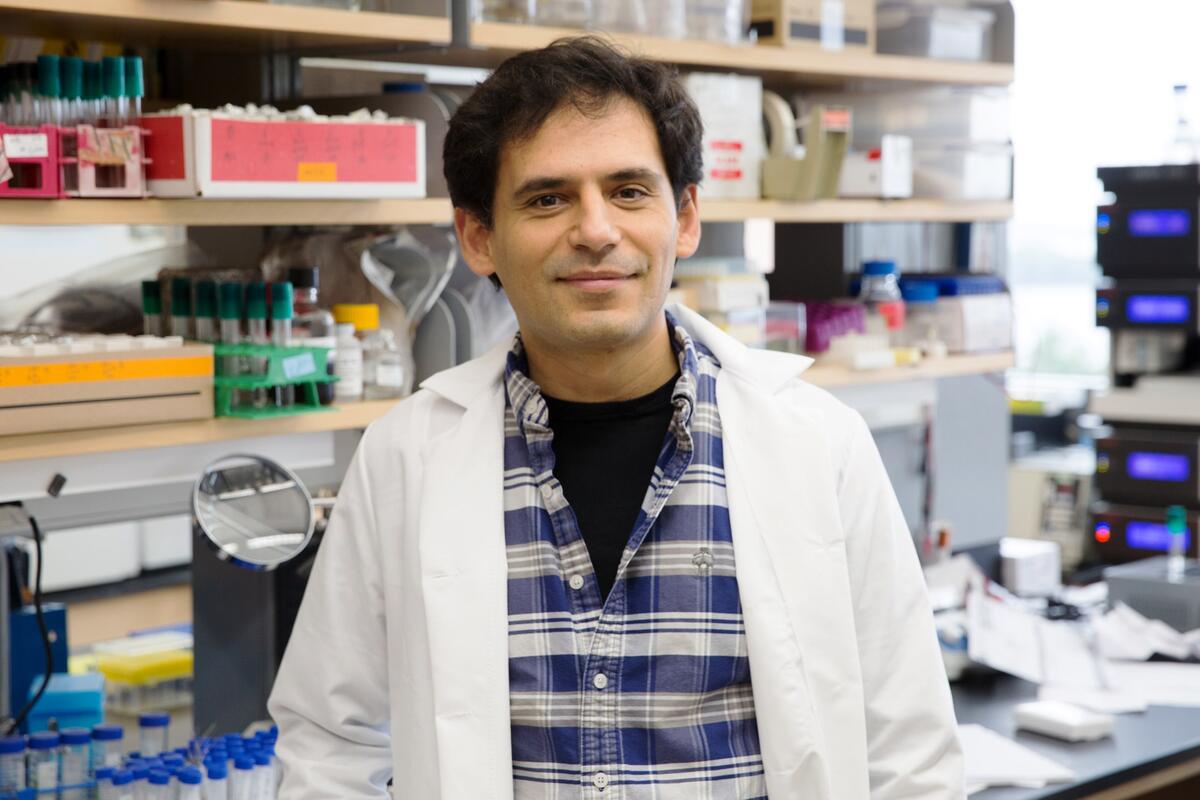 GLBRC researcher receives presidential award | Great Lakes Bioenergy ...