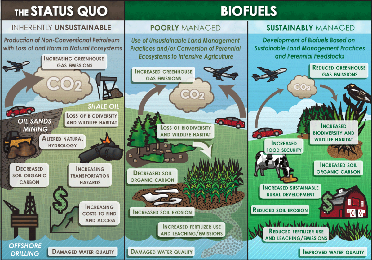 Take a closer look: Biofuels can support environmental, economic and ...