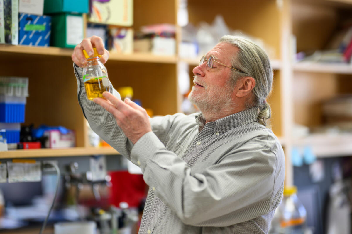 Sustained research investments lead to key discovery | Great Lakes ...