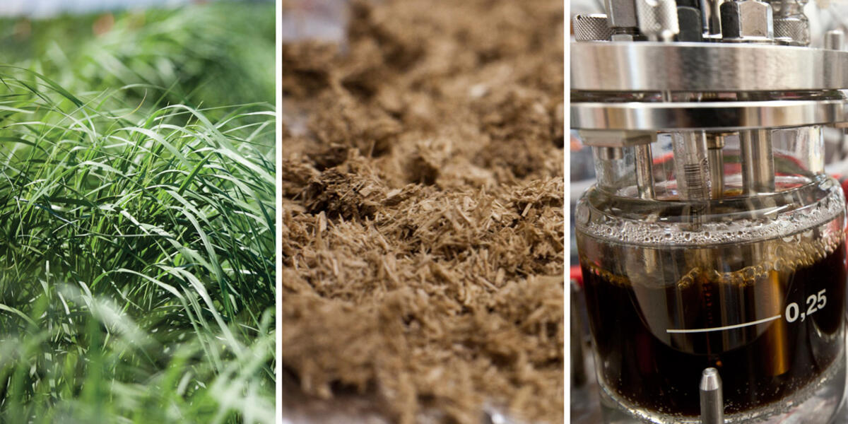 New "EA" biomass pretreatment cuts enzyme use, boosts biofuel ...