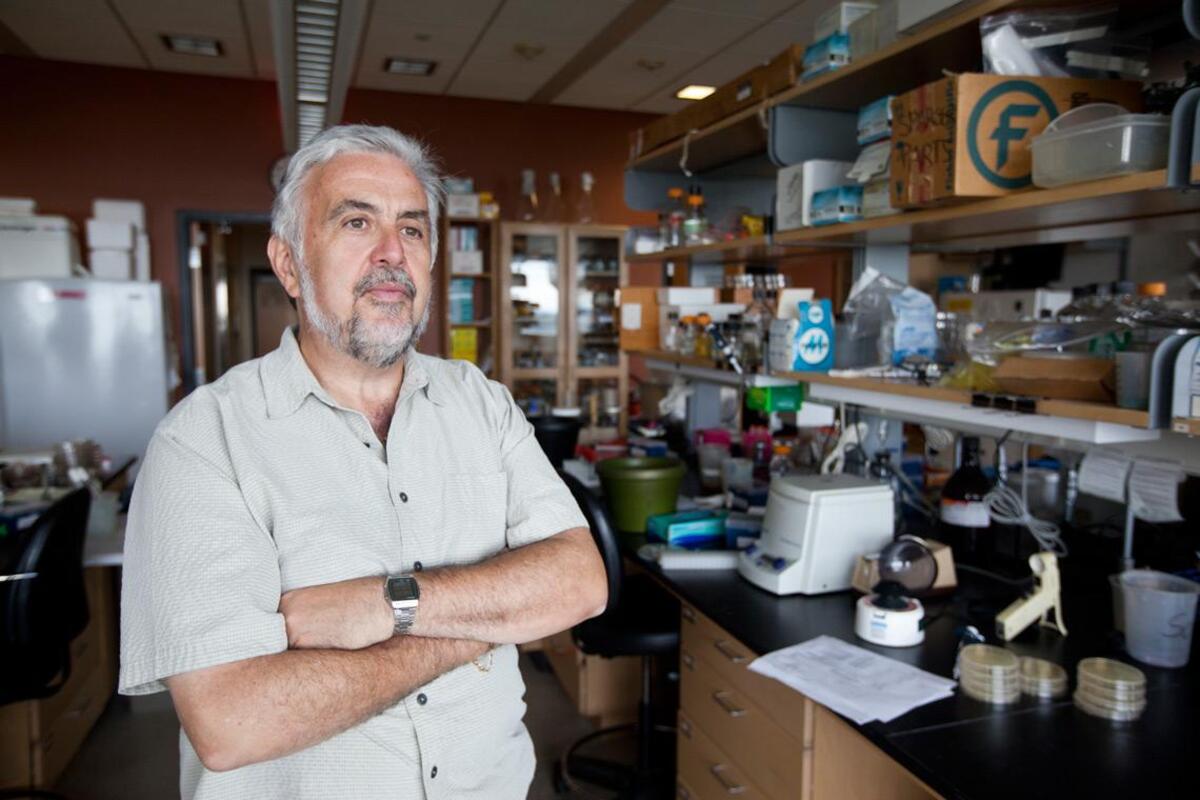 Unraveling lignin’s knot, step toward better biofuels | Great Lakes ...