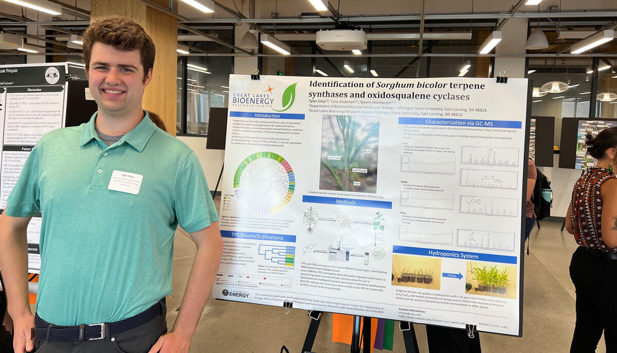 Tyler Criss | Great Lakes Bioenergy Research Center