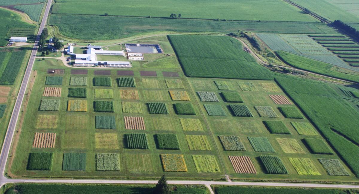 For bioenergy crops, quantity trumps quality | Great Lakes Bioenergy ...