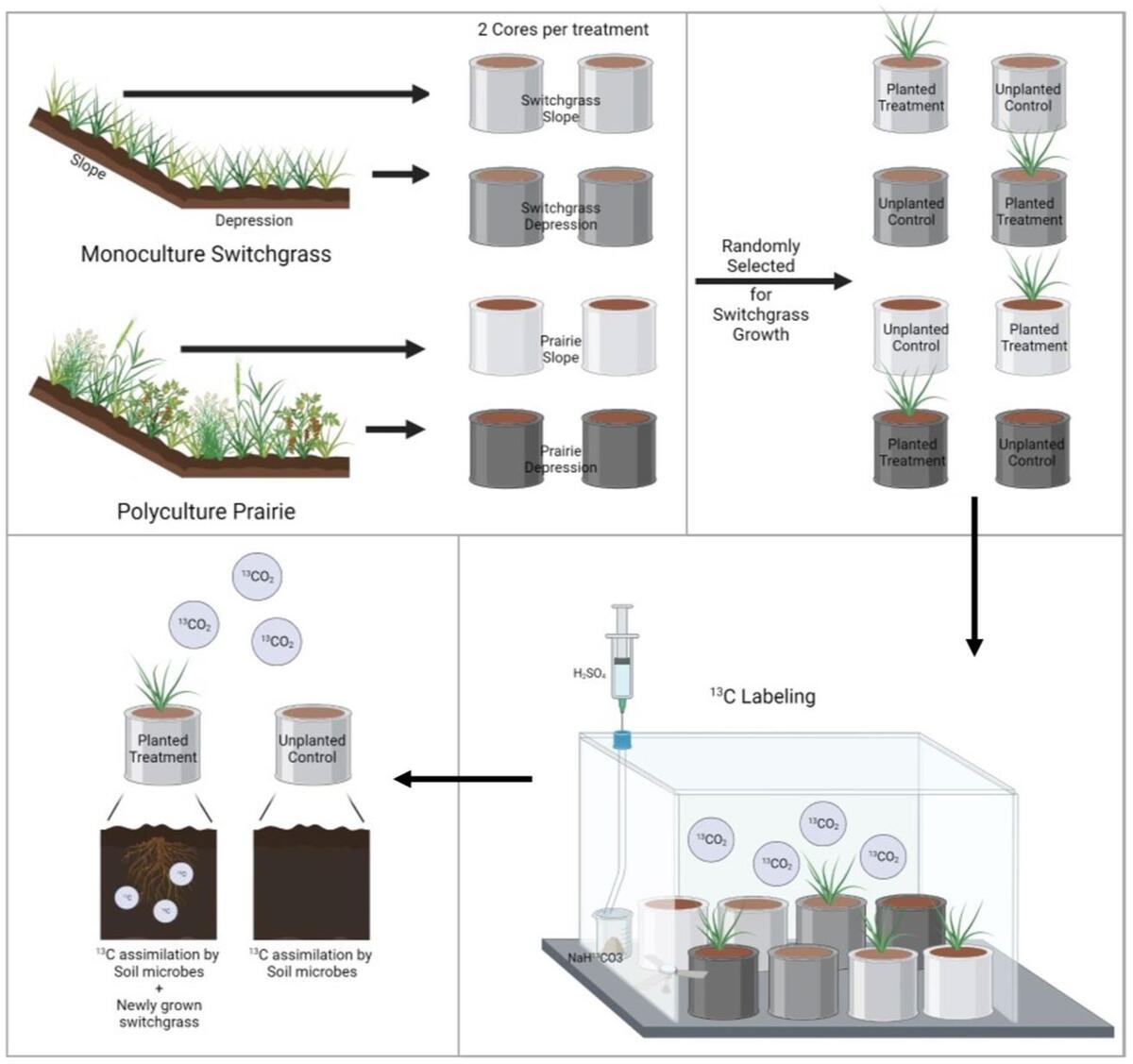 Prairie soil clings to carbon on slopes | Great Lakes Bioenergy ...
