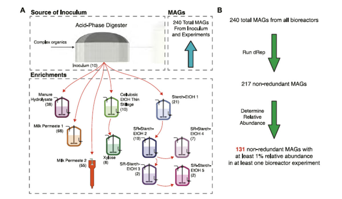 Metagenome study suggests common model of microbial community ...