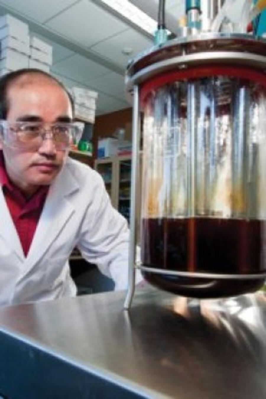Yaoping Zhang | Great Lakes Bioenergy Research Center
