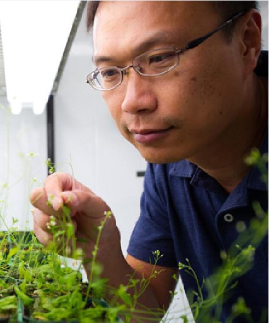Shinhan Shiu | Great Lakes Bioenergy Research Center